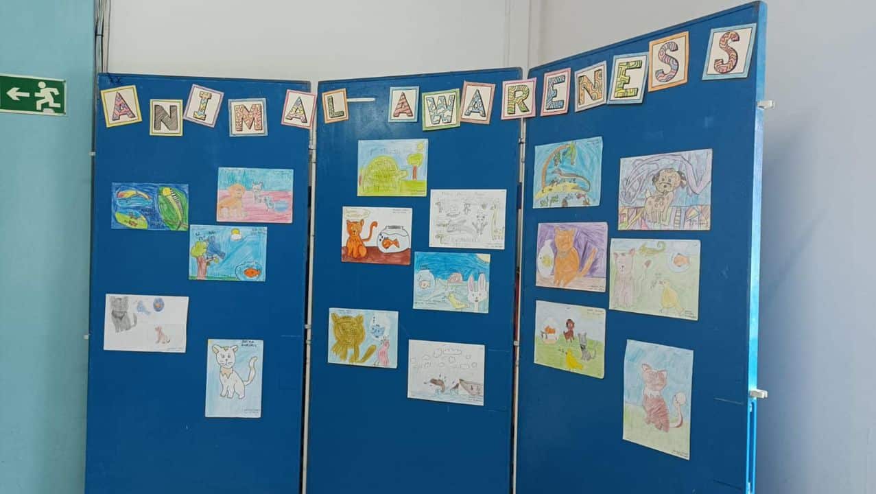 DLSJ-Activity Jan Animal awareness week - Art Lesson - la salle malta